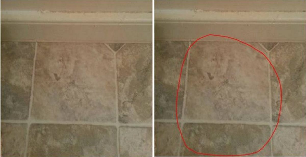 PIC: Do You See Donald Trump In This Bathroom Floor Tile?