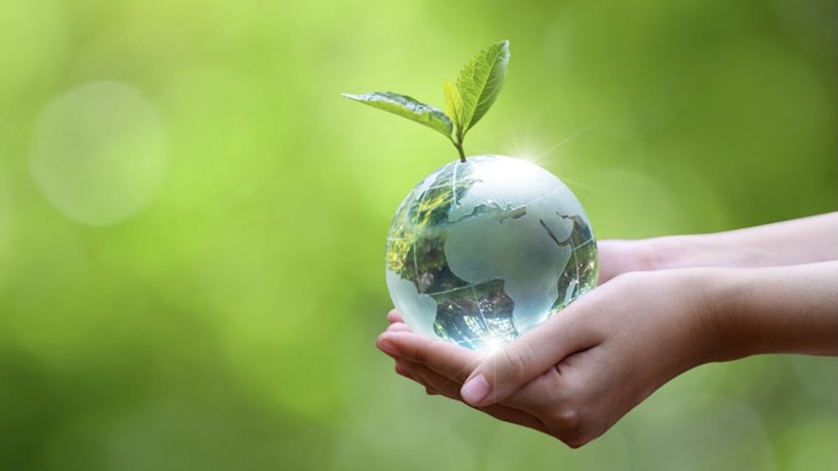 Goldman Sachs Commits To Reach Net-Zero Carbon Emissions By 2030