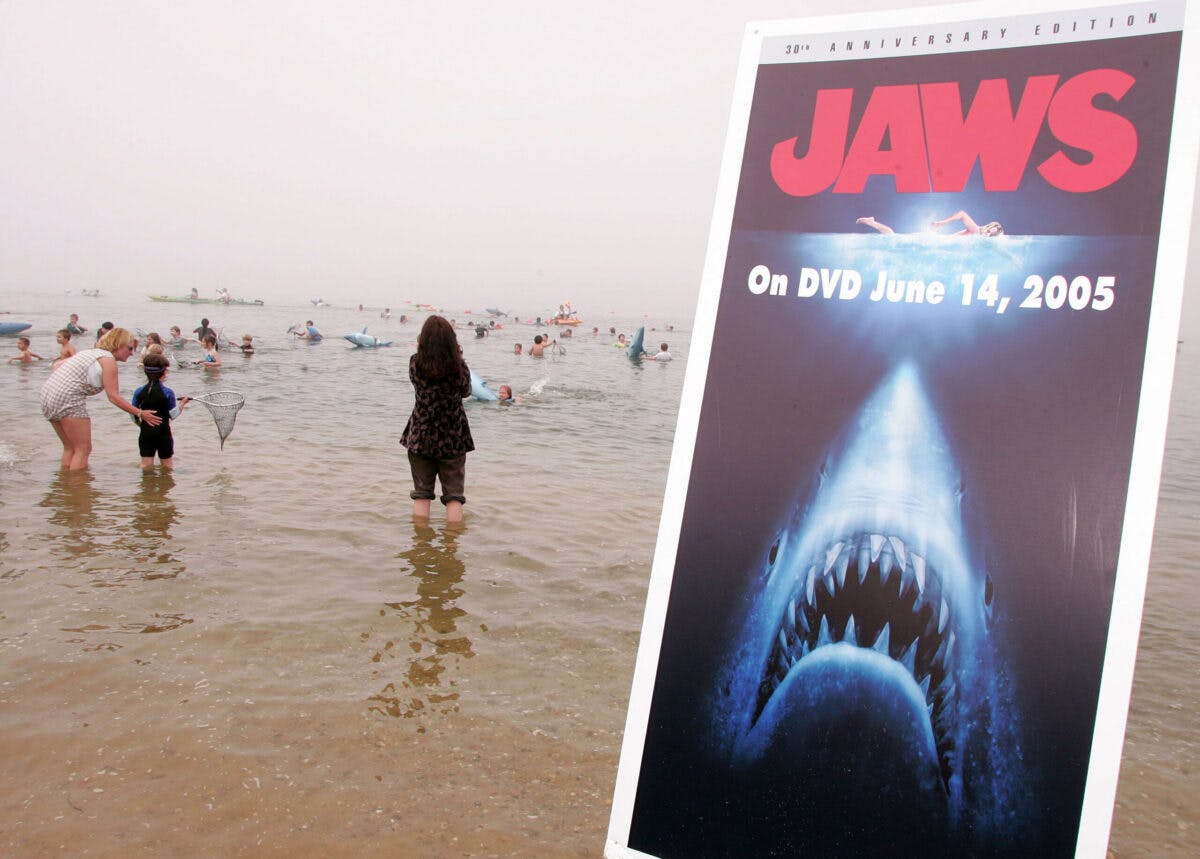 ‘Jaws’ Actor Set To Become Police Chief In Same Town Where Classic ...