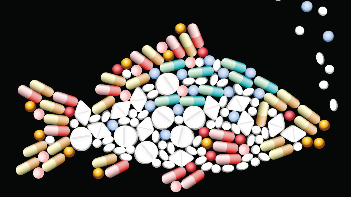 Study Shows Ocean Fish Loaded With Pharmaceuticals