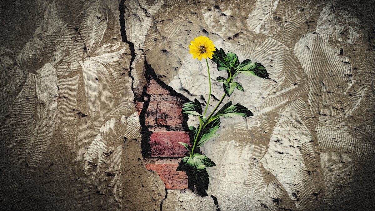 How God Turns Stumbling Blocks Into Stepping Stones