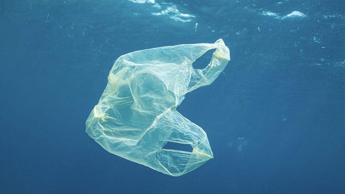 Scientists Retrieve More Than 10 Tons Of Plastic From Ocean