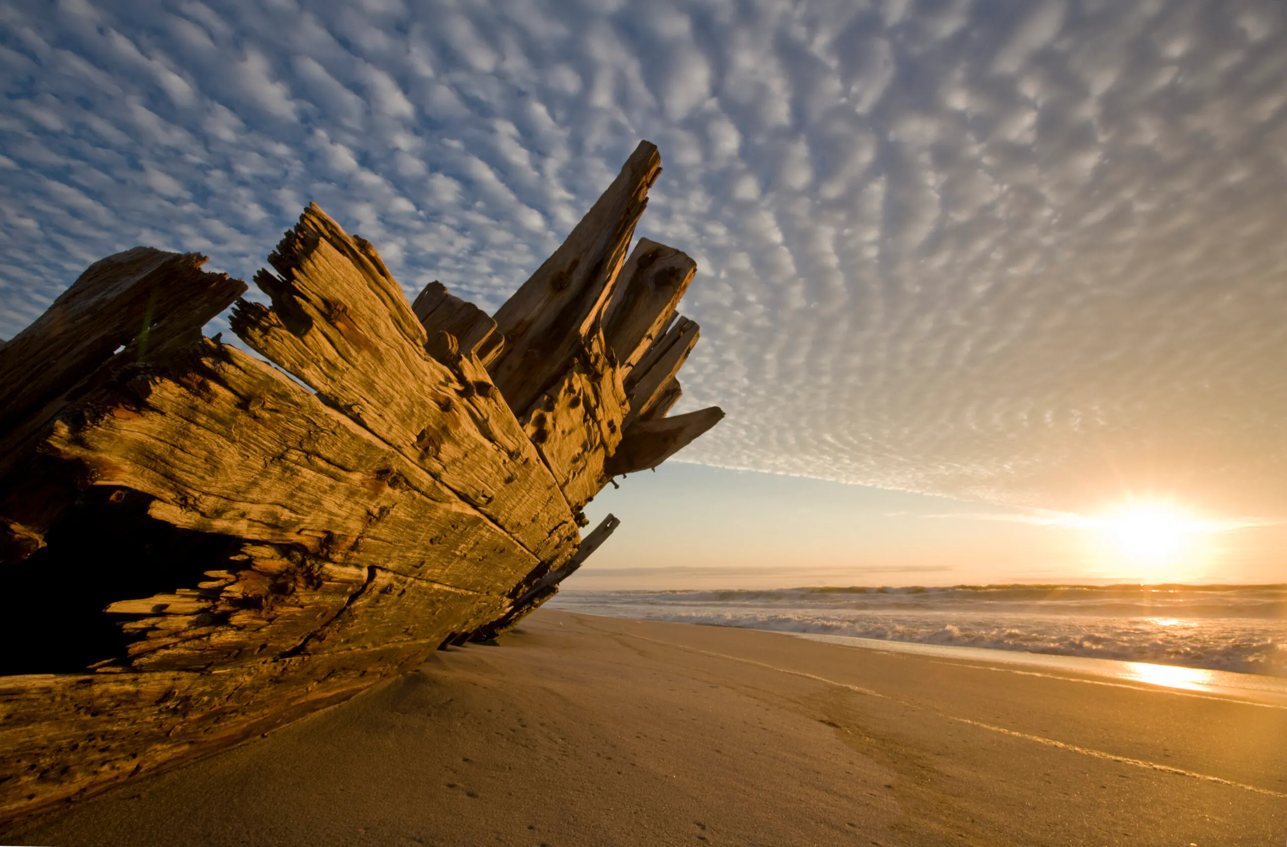King’s 15th-Century ‘Floating Castle’ Shipwreck Reveals New ‘Thrilling ...