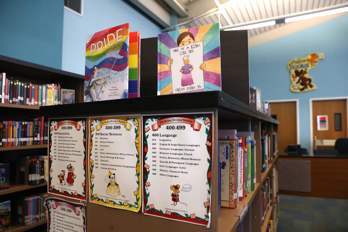 Library Group Frames Removal Of Graphic Sexual Content From School ...