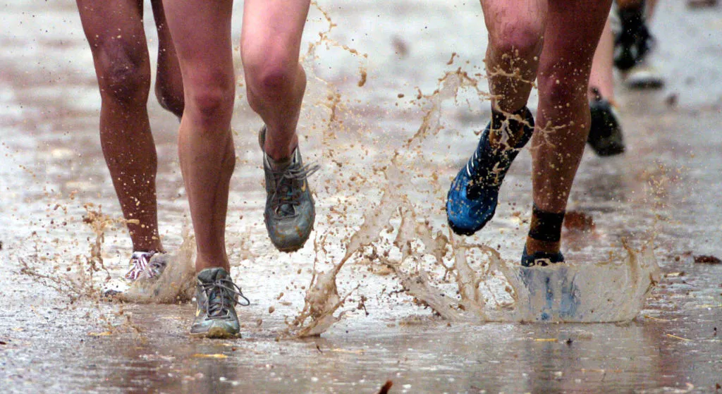 Trans-Identifying Male Wins Girls Cross Country Regional