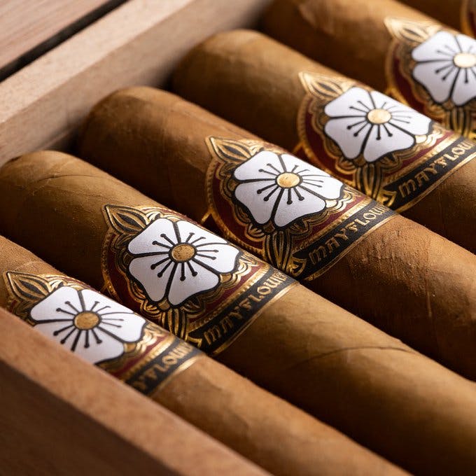 Daily Wire Launches ‘Mayflower Cigars,’ A New Premium, Handmade Cigar Line