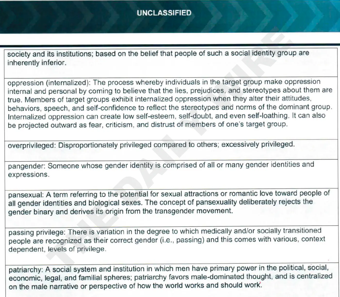 EXCLUSIVE: Leaked NSA Doc Reveals Massive Woke Glossary Pushing ...