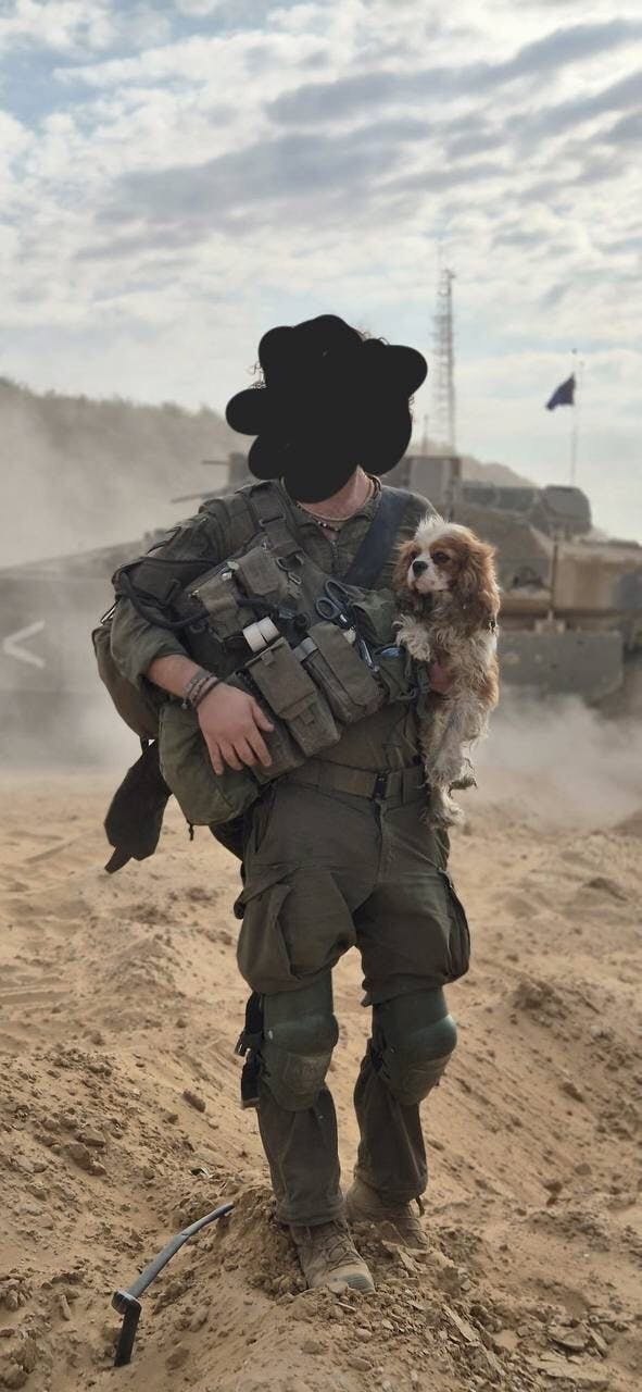 Dog Abducted On October 7 Reunited With Owner: ‘It’s A Miracle From Heaven’